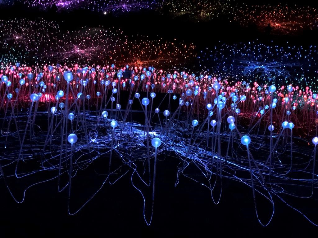 As lights dance Sensorio artist sees nature, people interact
