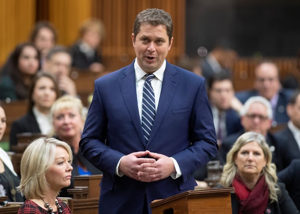 Race to replace Scheer as federal Conservative leader could be crowded