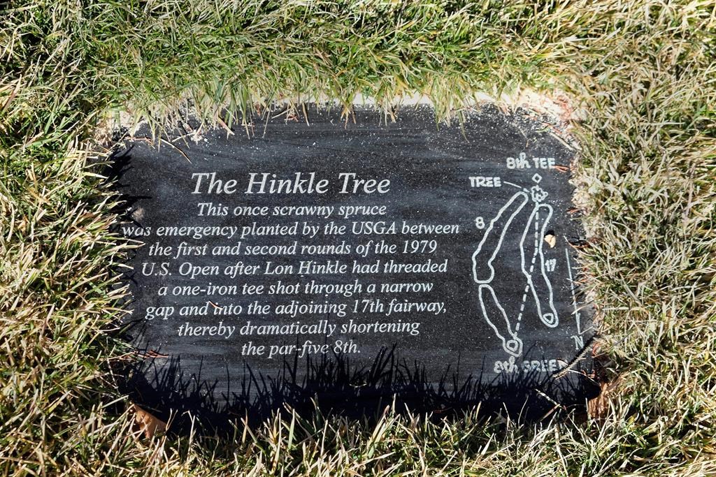 Golf's famous 'Hinkle Tree' from '79 Open uprooted by wind