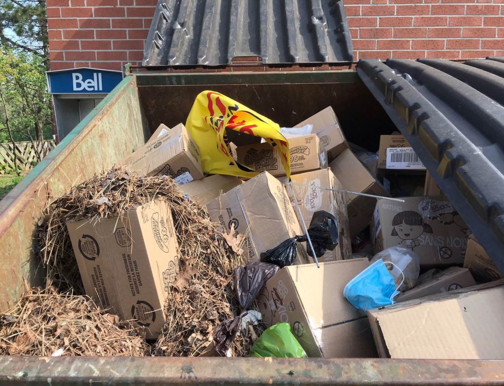 Food rescue fail: how these boxes of food landed in a school dumpster