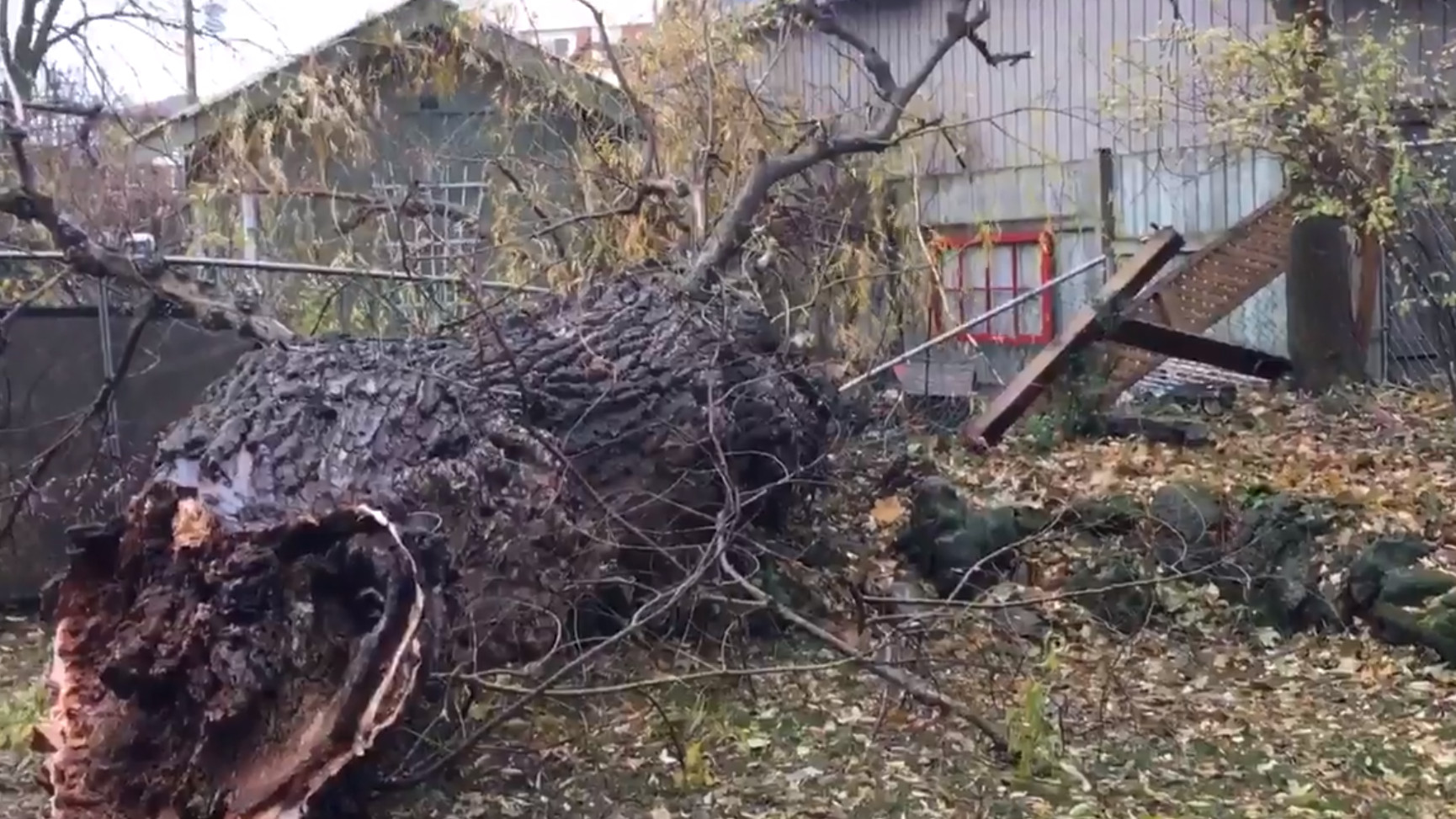 Power continues to be restored across Ontario after damaging wind storm