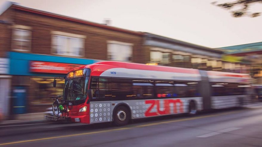Brampton Transit service to Steeles West Corridor resumes today