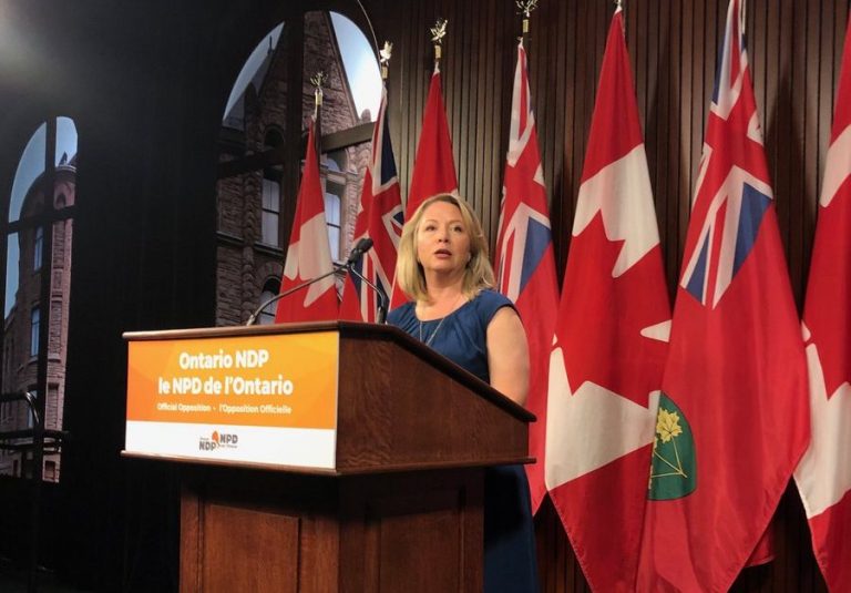 NDP MPP calls for halting plans for permanent online learning