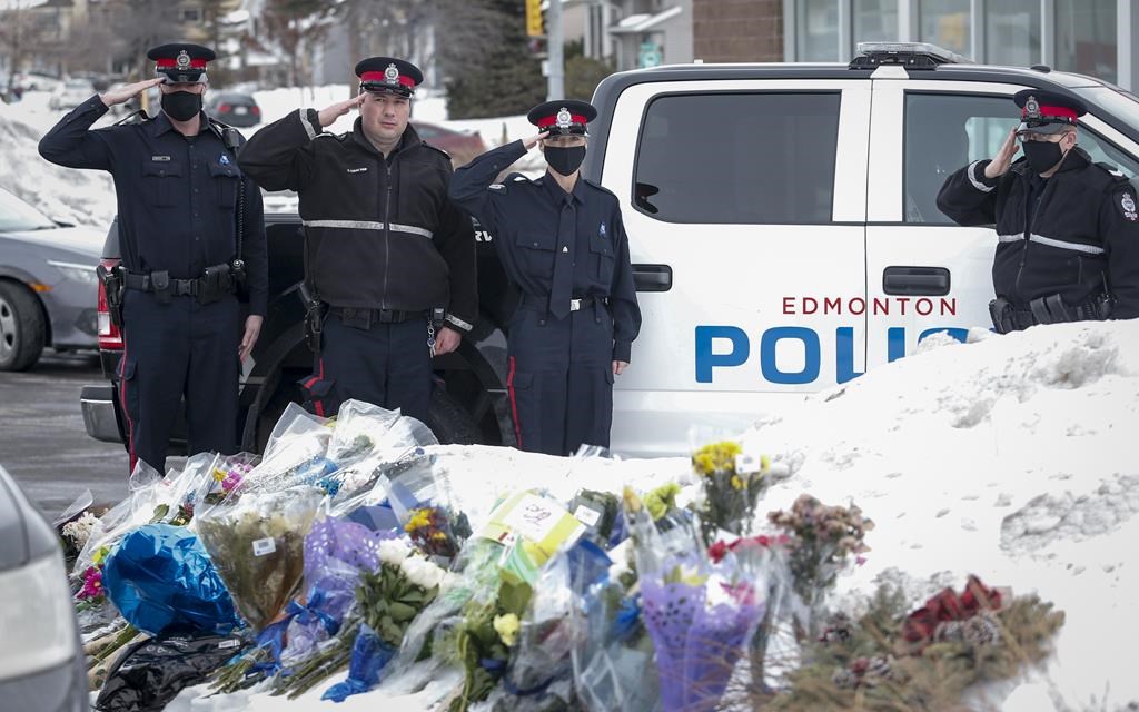 Hit-and-run murder trial: Witness who struck falling police officer ...