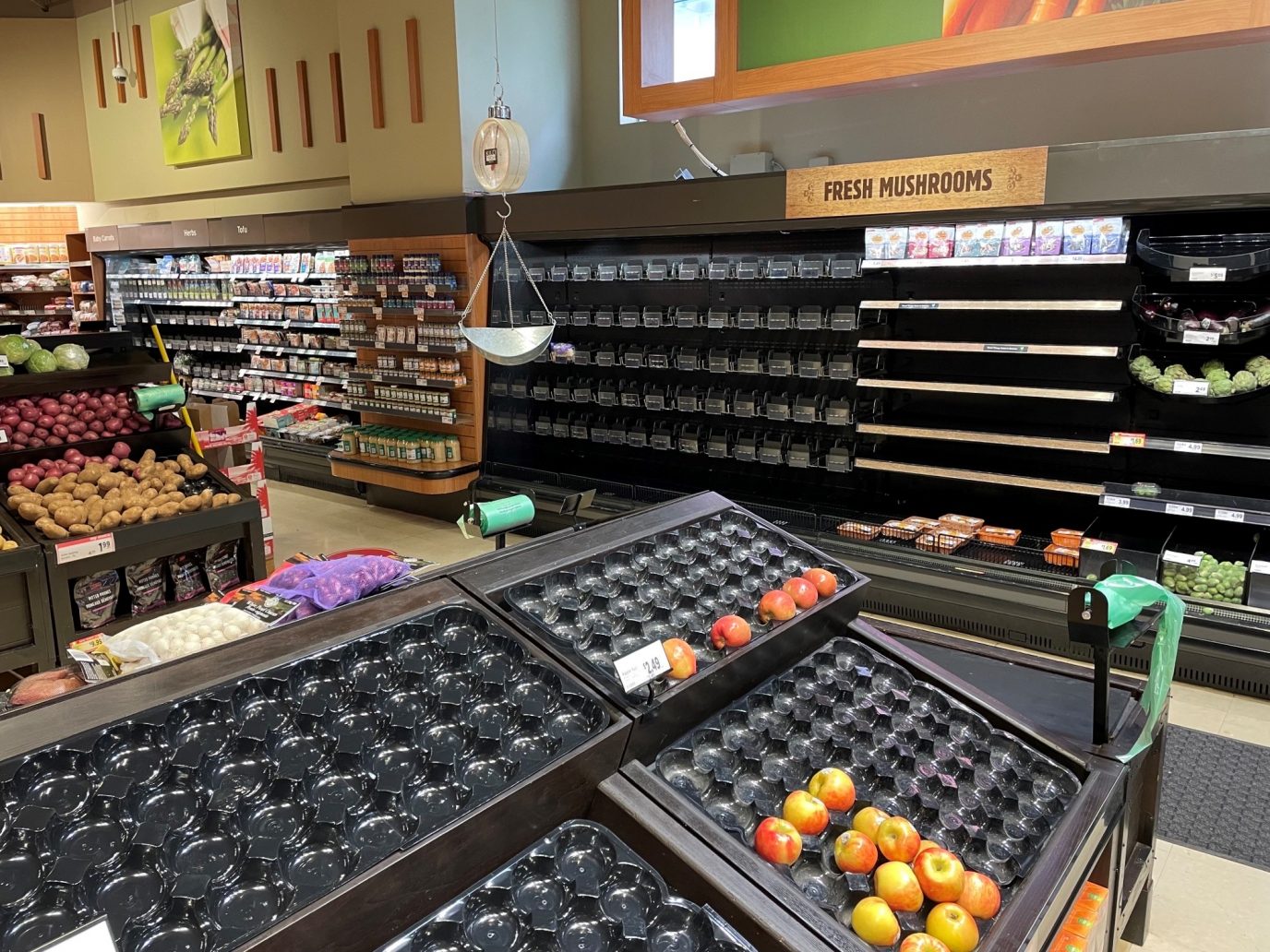 Metro workers on strike at Etobicoke distribution centre, produce ...