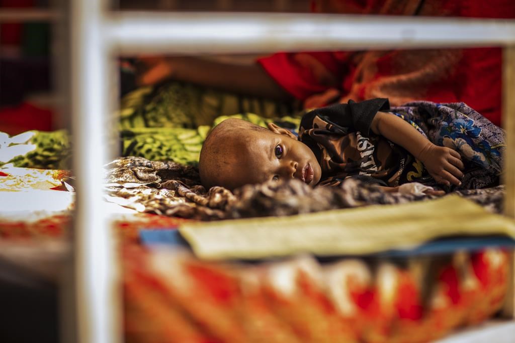 East and Horn of Africa prep for worst drought in decades