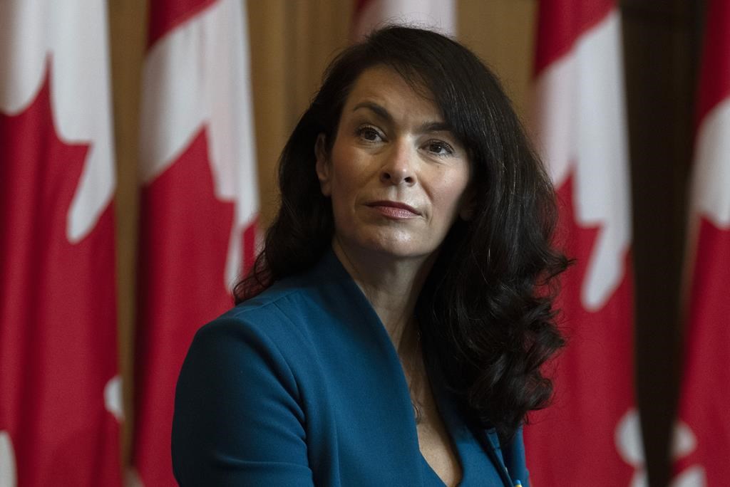 Opposition MPs urge federal government to bring home Canadians detained ...