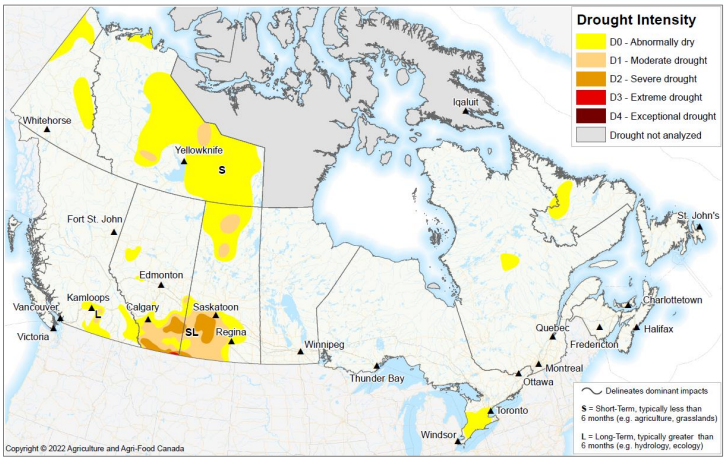 Ontario heatwave may exacerbate drought - CityNews Toronto