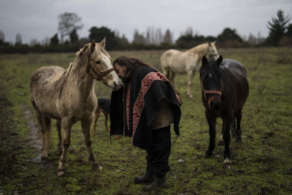 On Chile rivers, Native spirituality and development clash