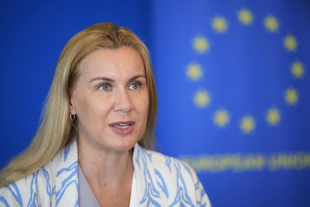 Commissioner: EU to unveil new responses to energy crisis