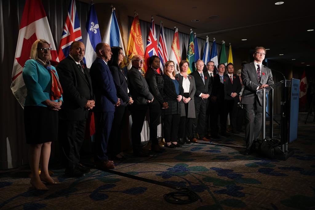 Health ministers expect details after promise of federal funding boost