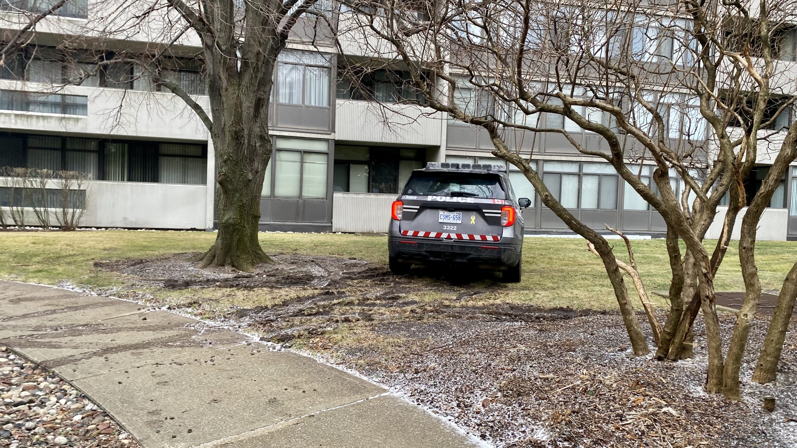 70 Year Old Woman Dead In North York Homicide Man Arrested 6243