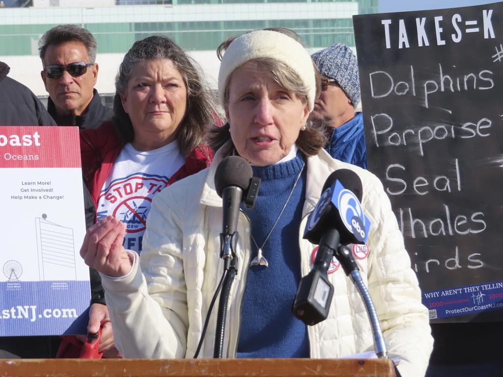 Feds: Offshore wind not to blame for East Coast whale deaths