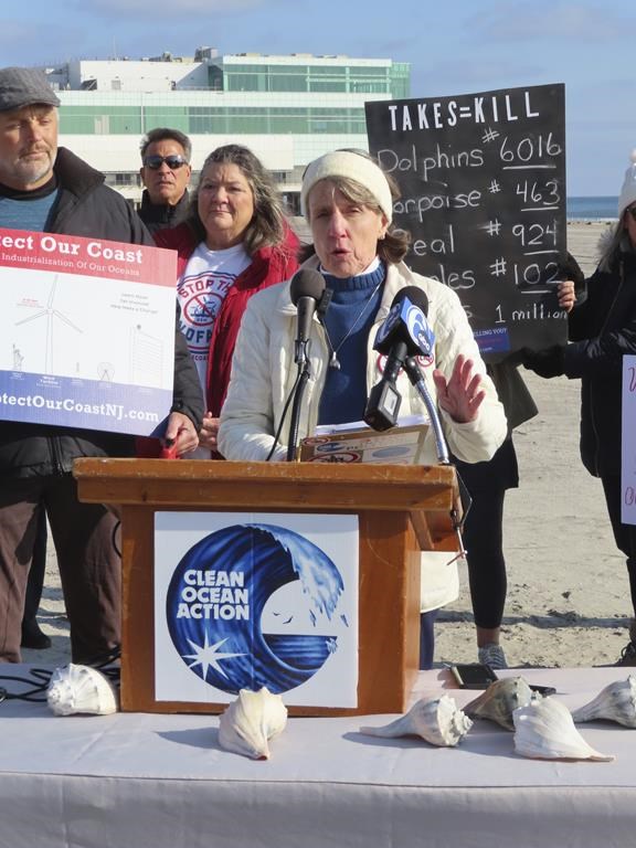 Groups seek probe of NY-NJ whale deaths amid wind power prep