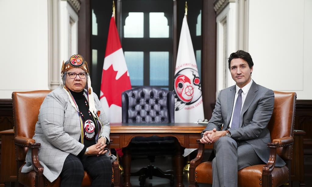 AFN seeks more time to develop plan implementing UN declaration on ...