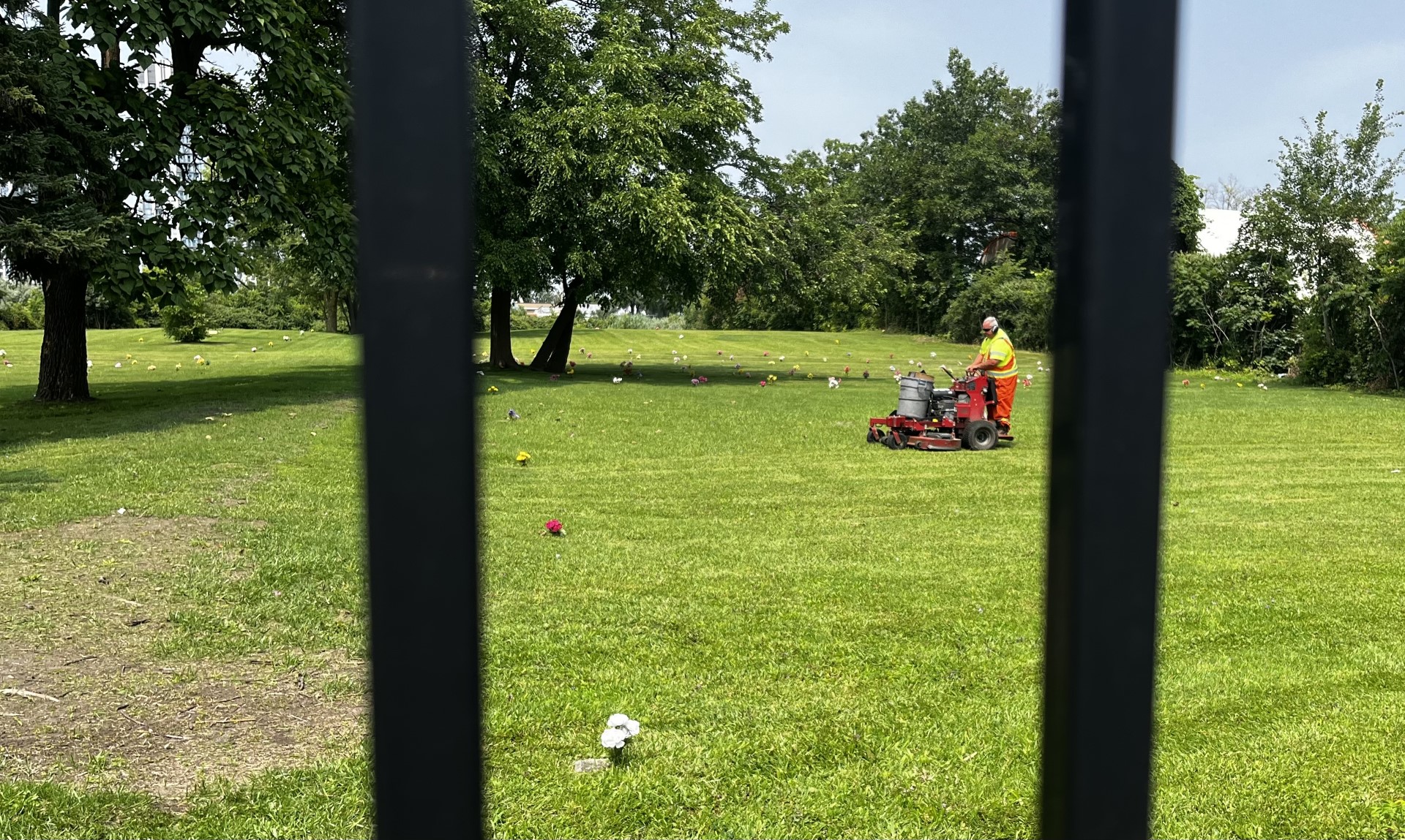 Work underway to identify Indigenous graves at forgotten Toronto cemetery