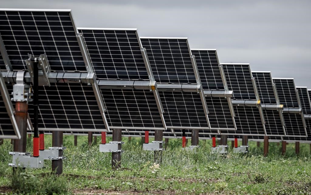 Renewable energy workers say Alberta's pause will wipe out season of work