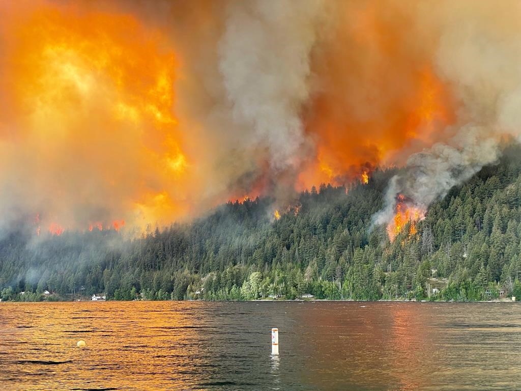 In the news today: Feds to give update on Canada's wildfire season
