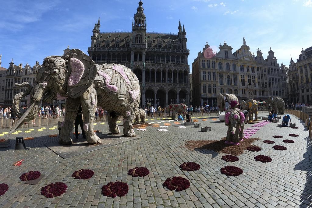 Belgium is celebrating flowers and surrealism. And nothing is what it seems