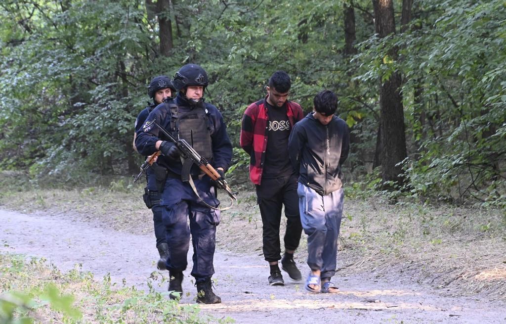 Police round up migrants in Serbia and report finding weapons in raid ...