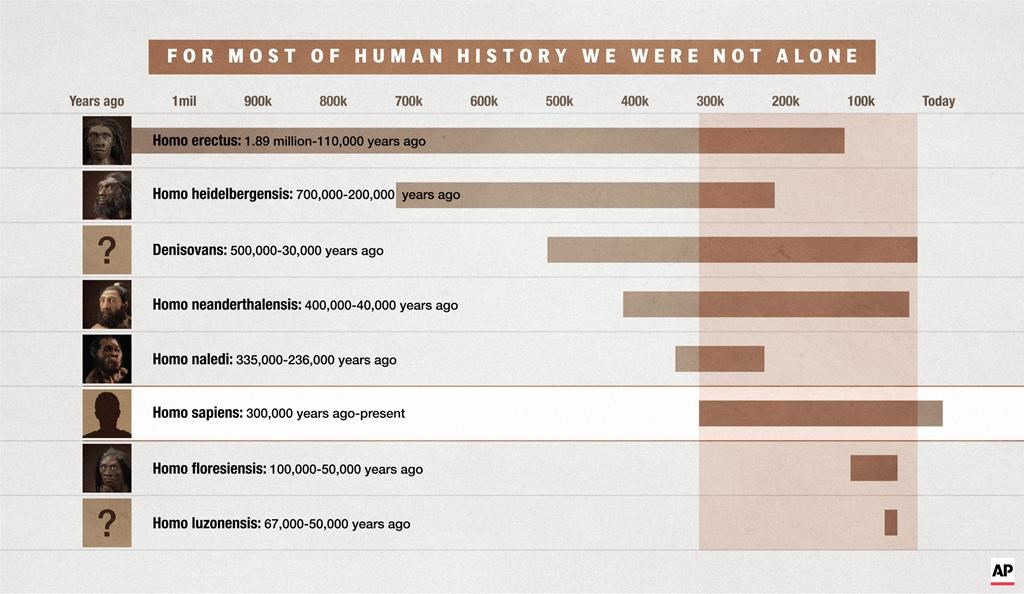 Science paints a new picture of the ancient past, when we mixed and ...