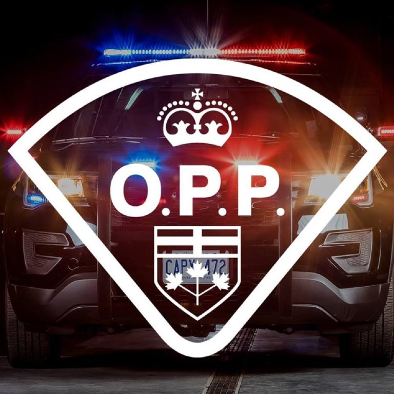 GTA schools evacuated as Toronto police, OPP investigate bomb threats