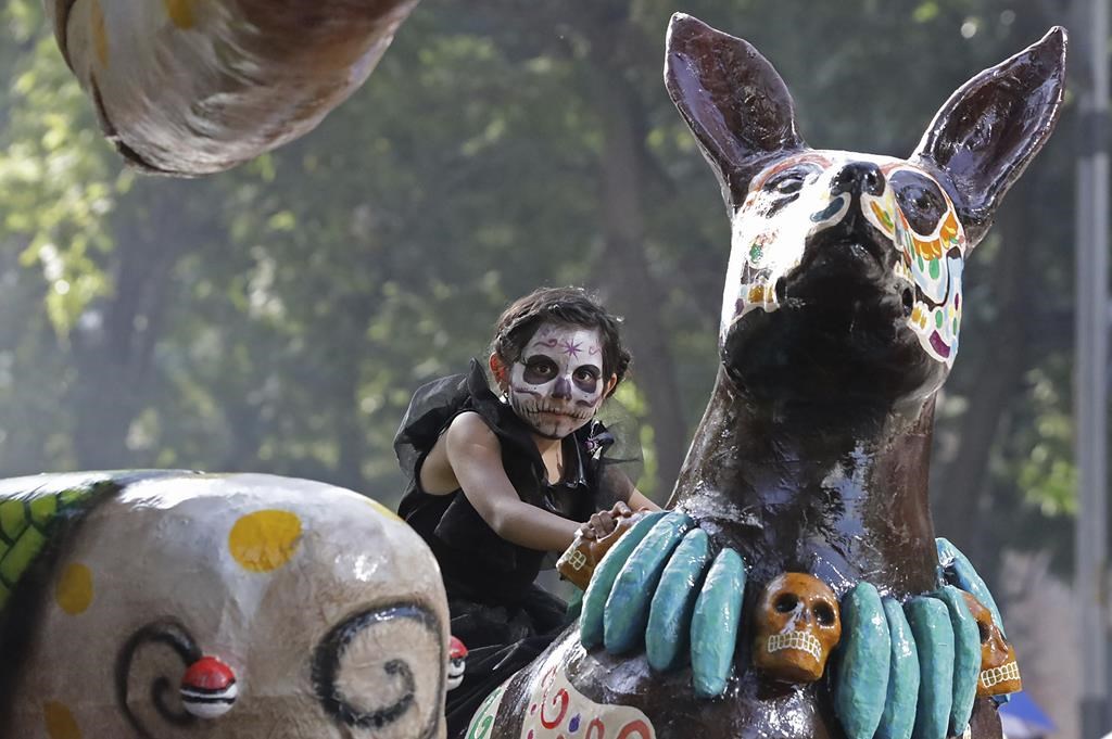 Skeleton marching bands and dancers in butterfly skirts join in Mexico ...