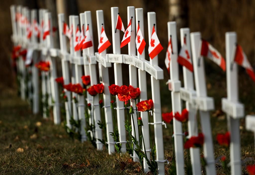 Thousands gather for Remembrance Day ceremonies at a time when peace ...