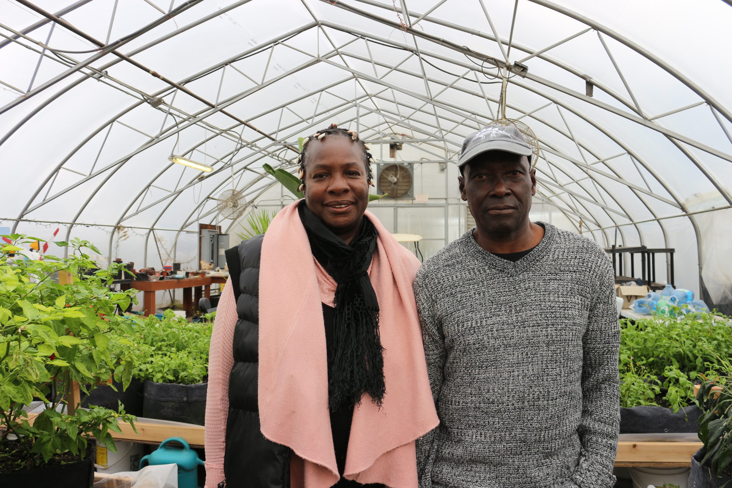 Toronto Black Farmers in Downsview fighting food insecurity by teaching ...