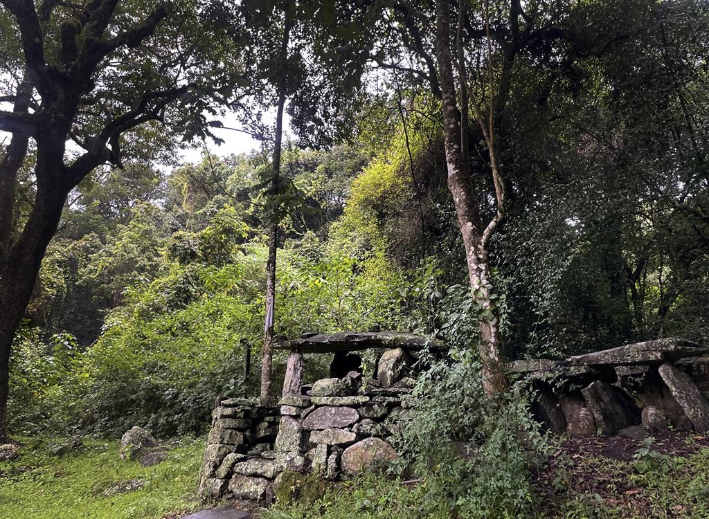 What are sacred forests?