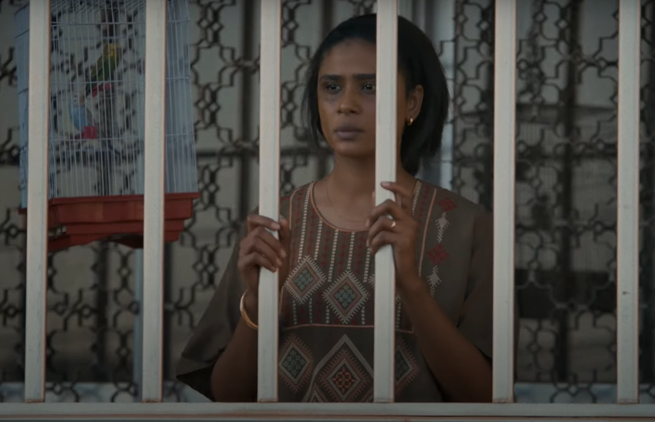 REVIEW: Goodbye Julia shows a nation's tragic beginning