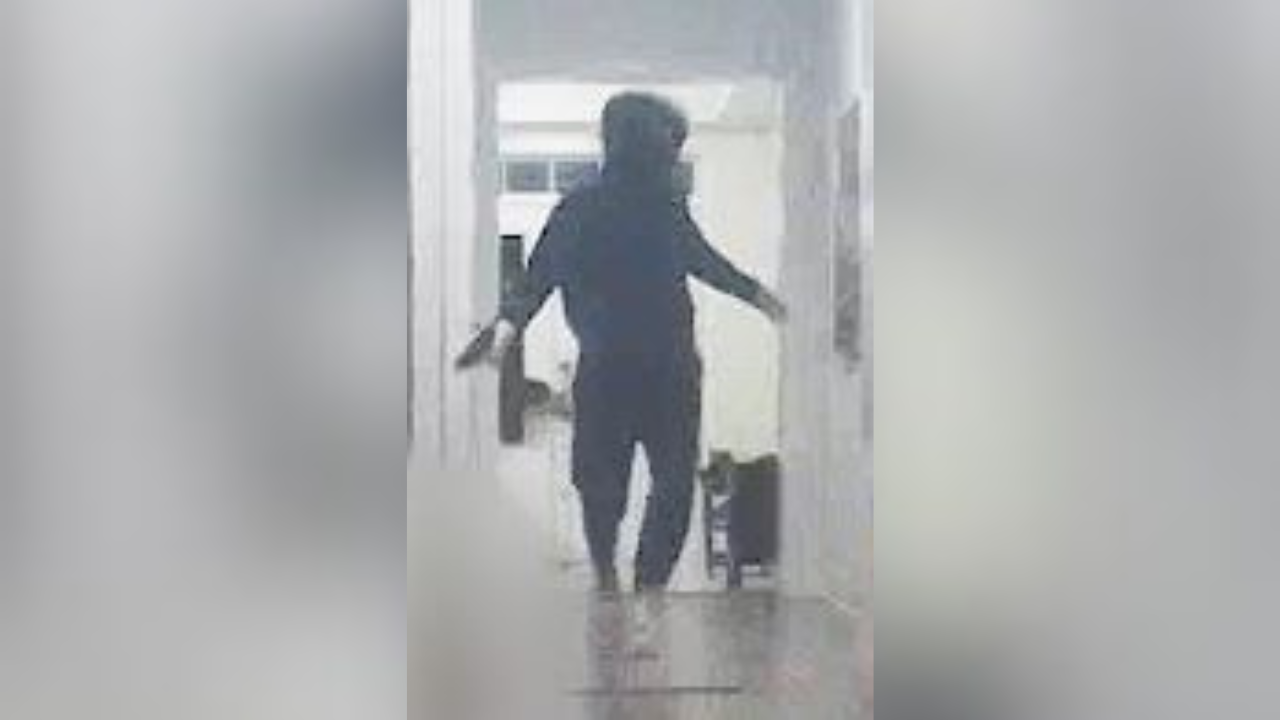 Video shows armed suspects during alleged violent home invasion in York ...