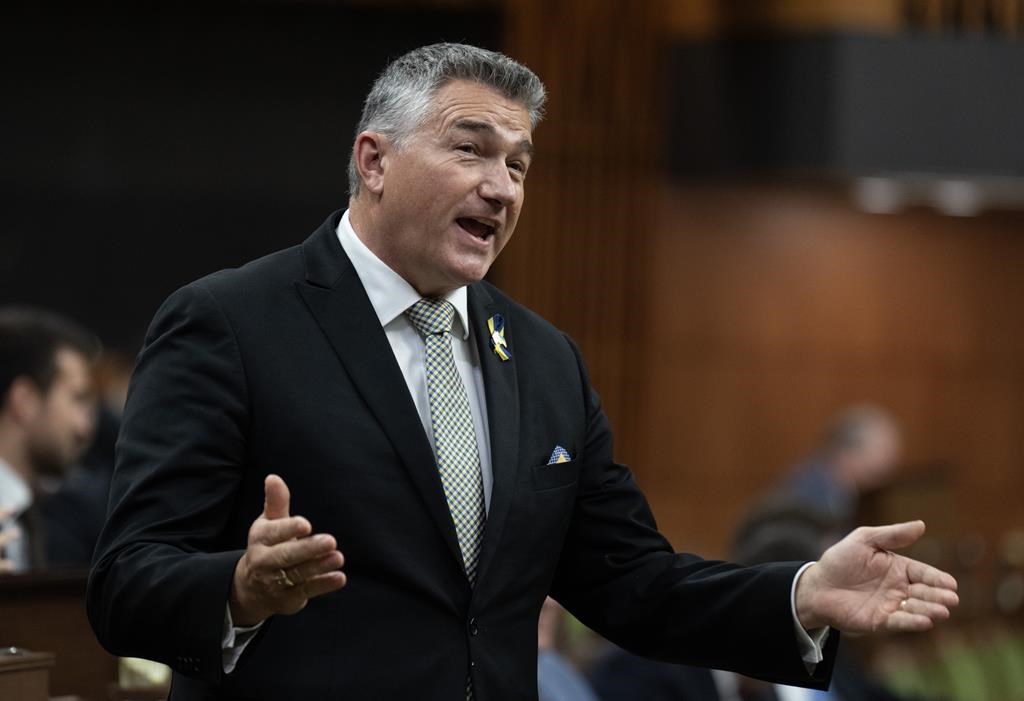 Conservatives would renegotiate free-trade deal with Ukraine, says MP ...