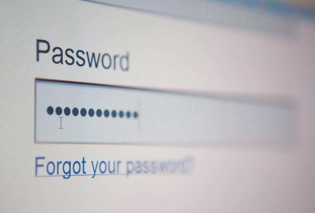 Worried about a cyberattack? Here are tips to help protect your digital ...