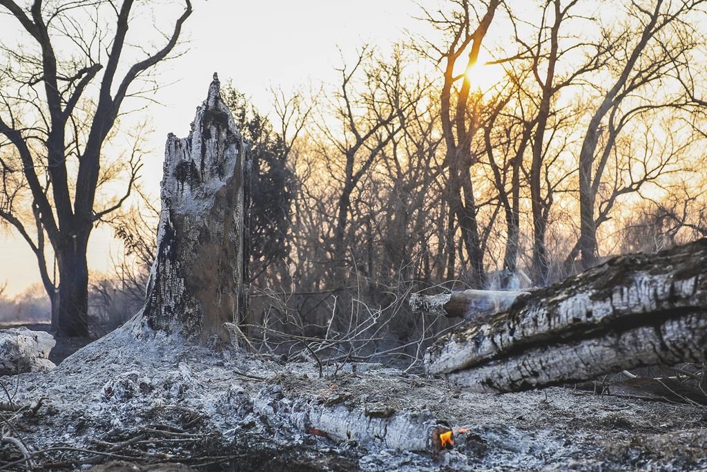 Wildfire grows into one of largest in Texas history as flames menace ...