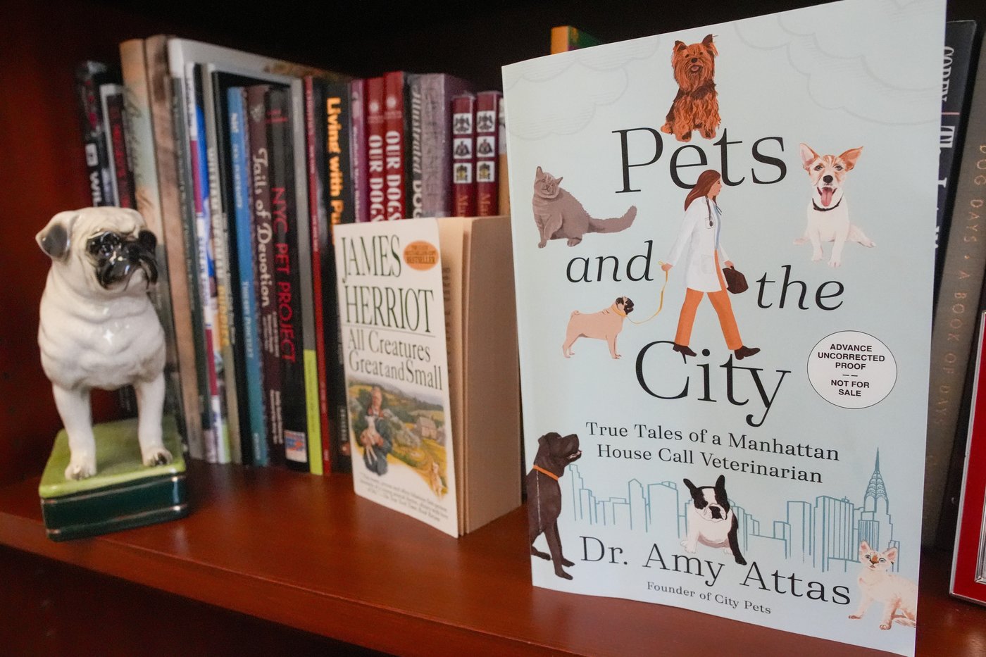 This NYC vet makes house calls. In 'Pets and the City,' she's penned a ...