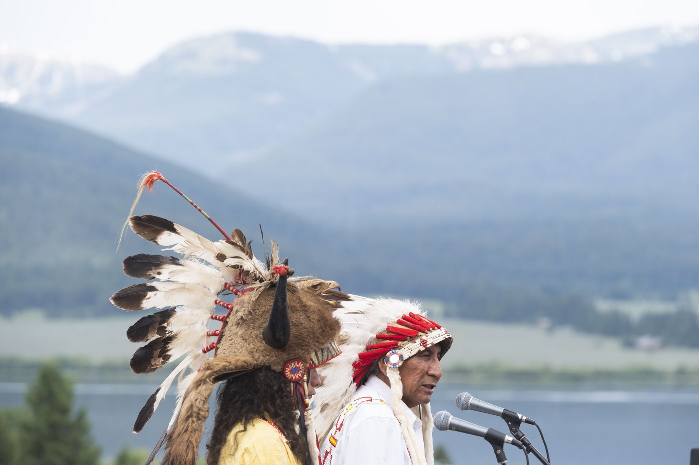 Tribes honor the birth of a rare white buffalo calf in Yellowstone and ...