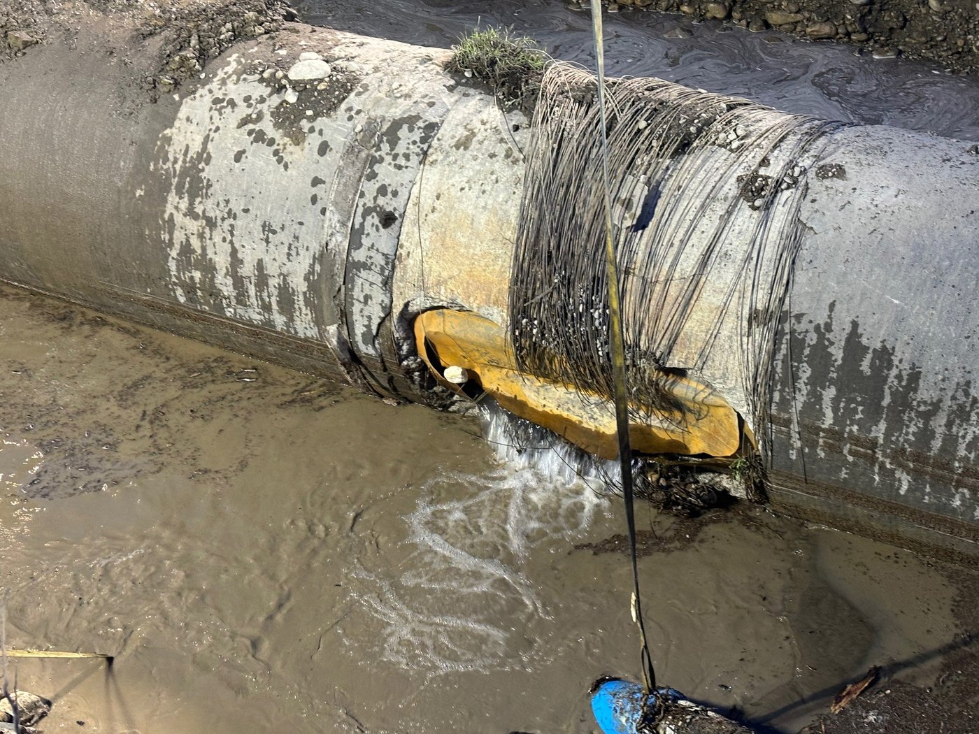 'Incredibly impressed': Calgary mayor applauds reduced water use after ...