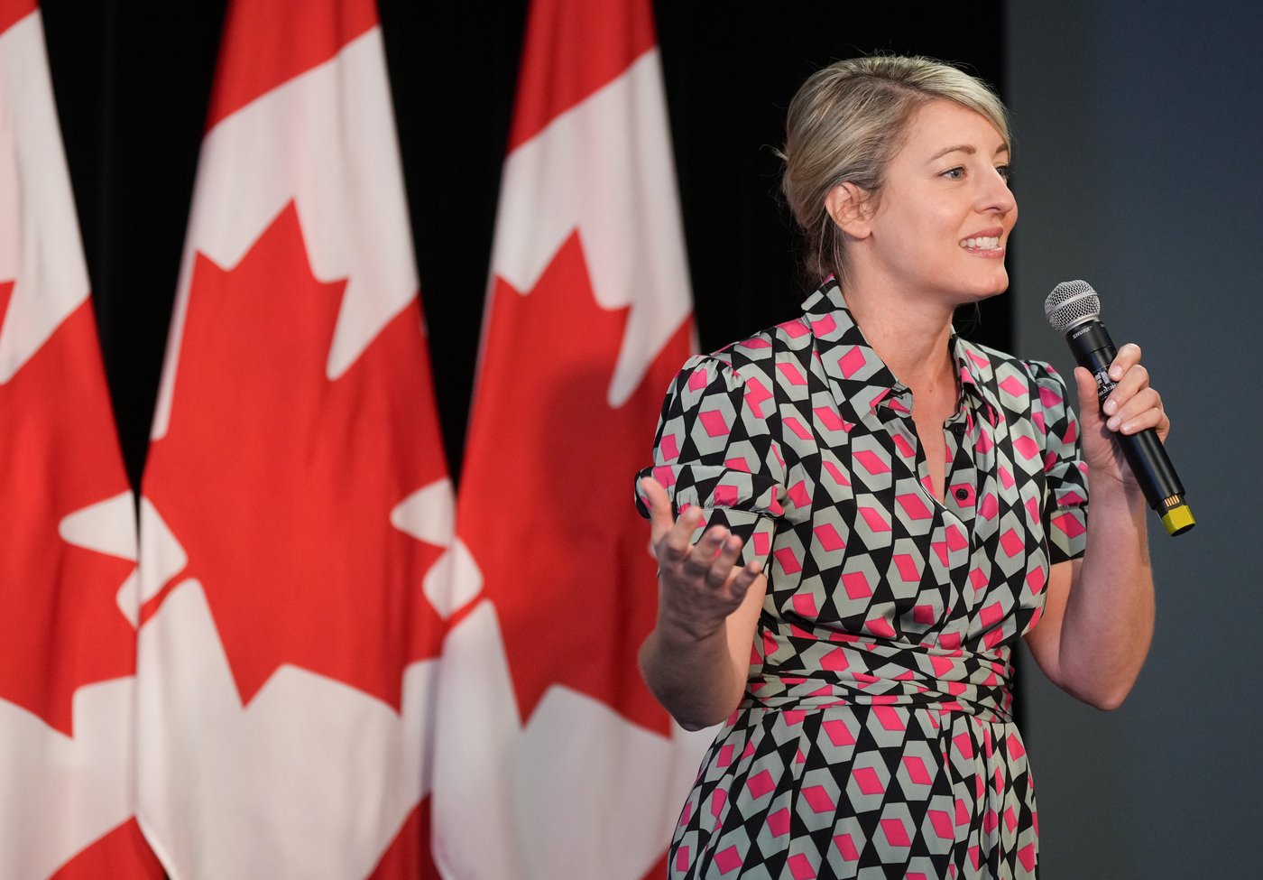 Joly meets with new British counterpart after political sea change in ...