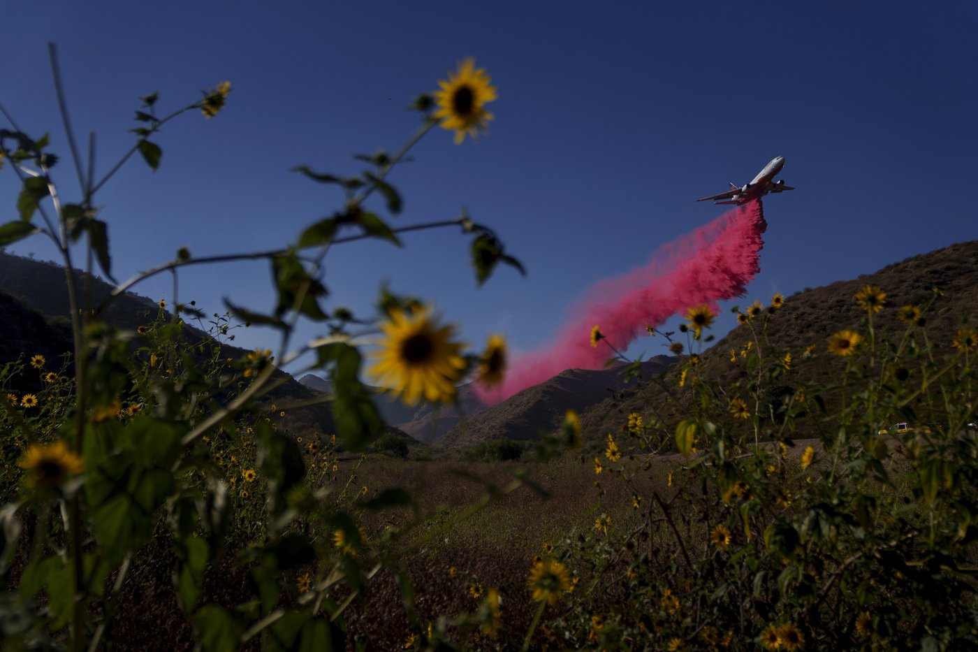 California city cancels July Fourth fireworks as firefighters battle ...