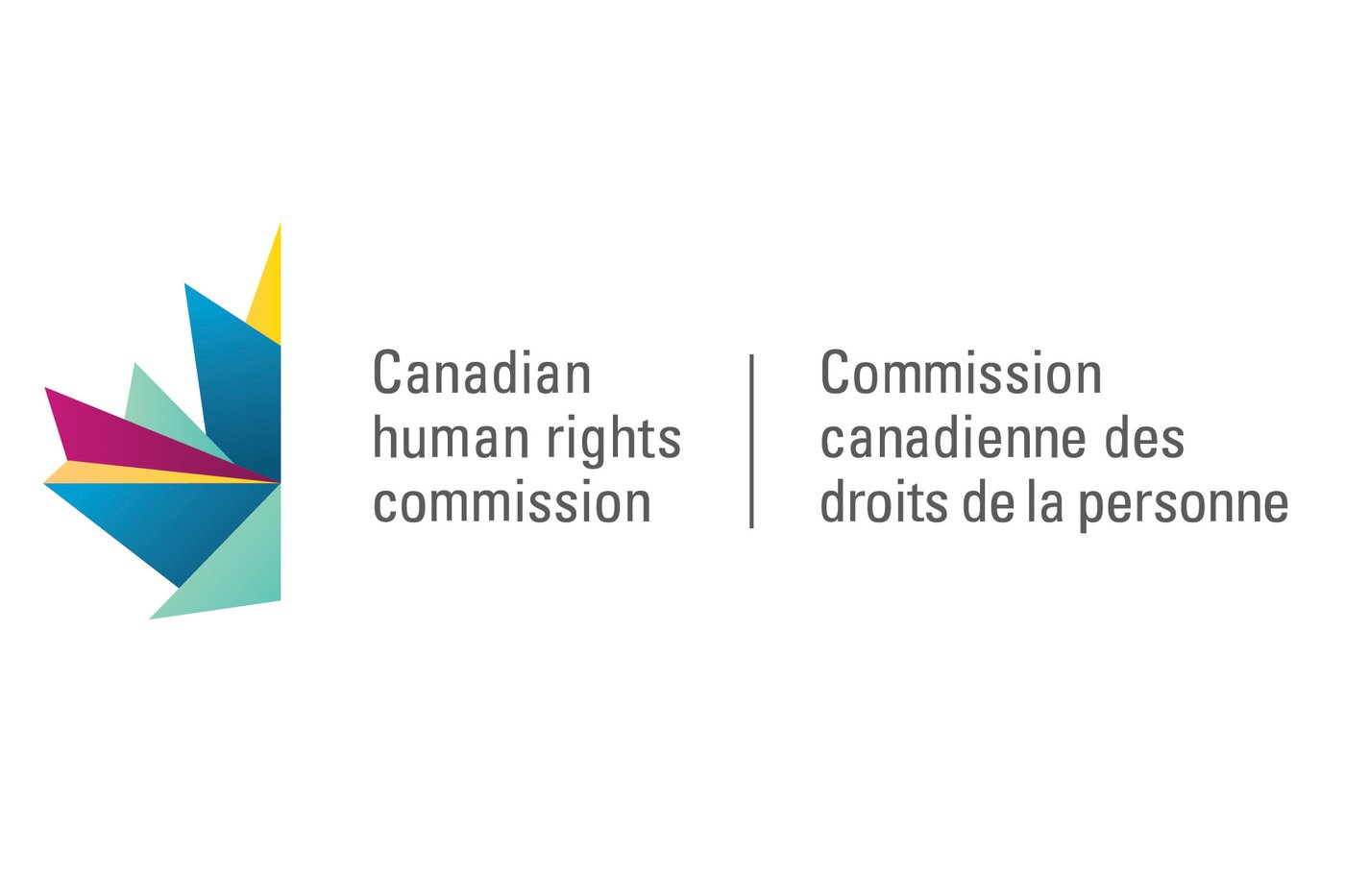 Chief human-rights commissioner resigns after investigation into Israel ...