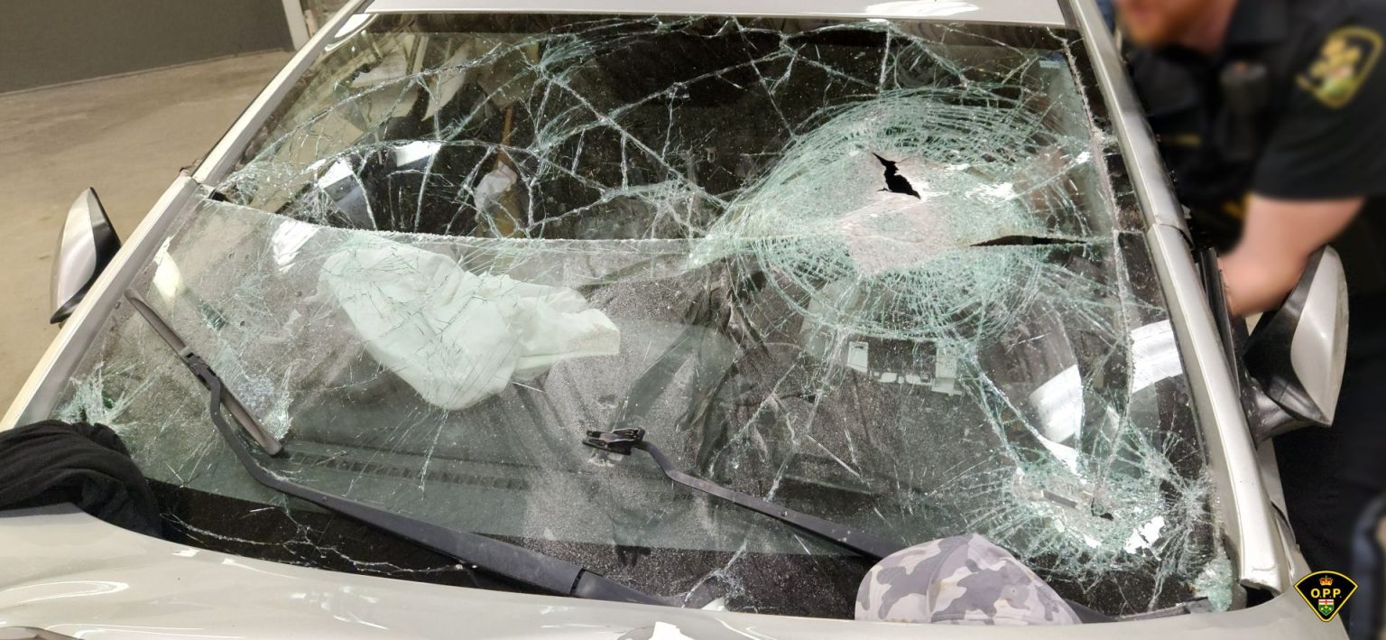 Additional charges laid in York Region rock-throwing incidents