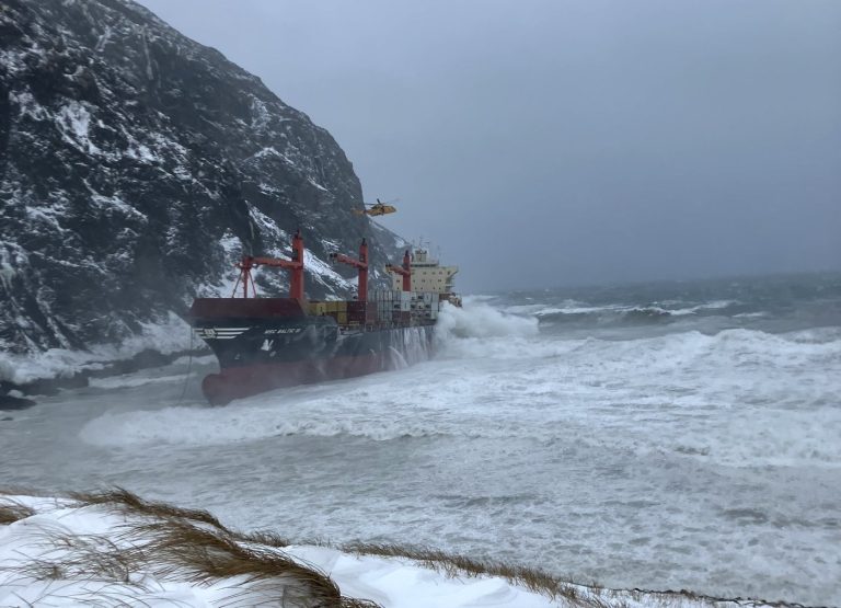 Cargo ship runs aground on coast of N.L., crew rescued
