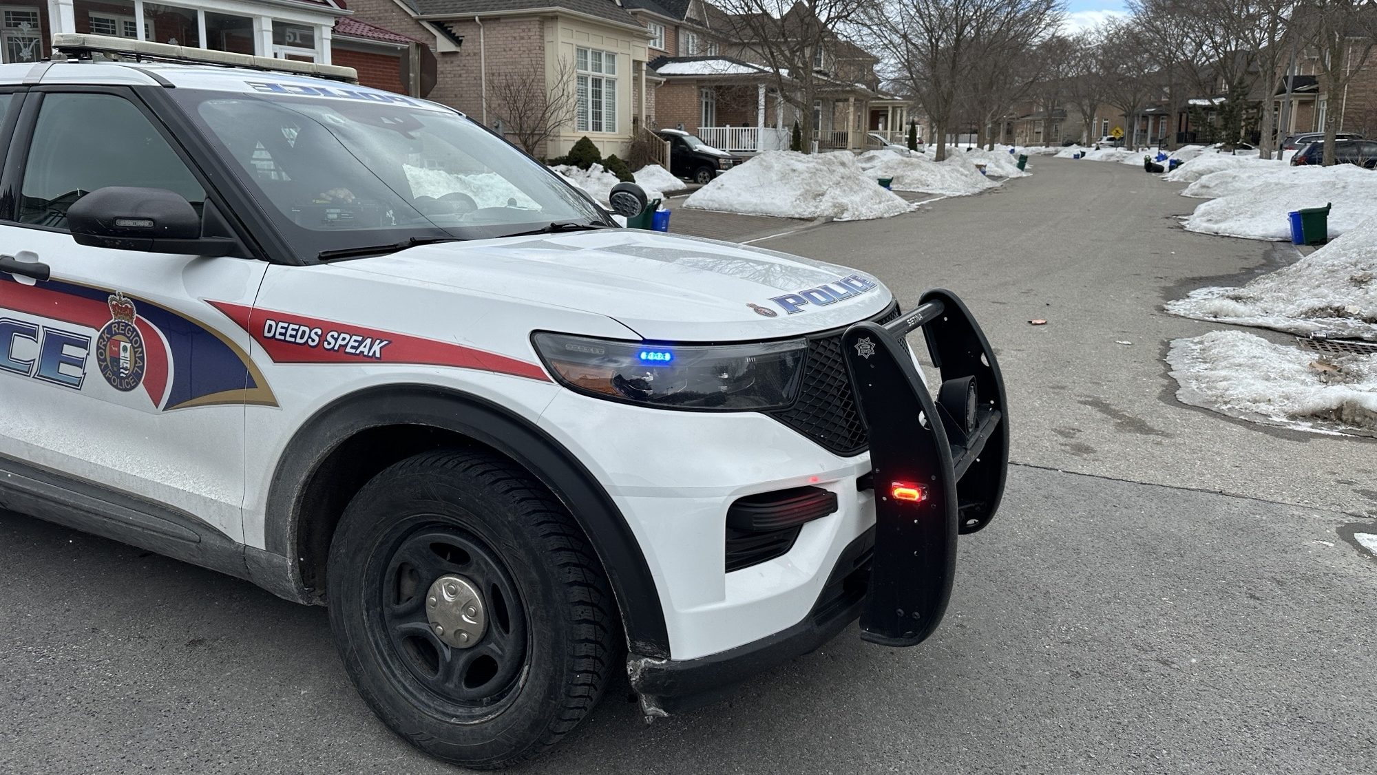 1 dead and dog killed, second person injured in Markham shooting
