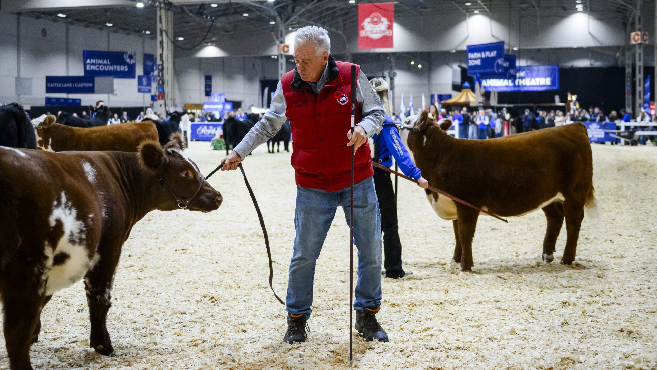 Weekend need-to-know: Royal Winter Fair back for its 103rd year