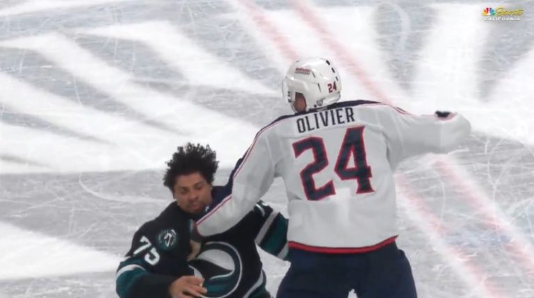 'I'm getting a little older': Former Leafs enforcer Reaves suffers ...