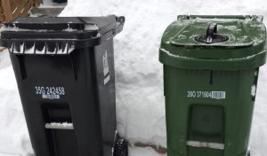 Toronto garbage, green bin collection continuing after storm with ...