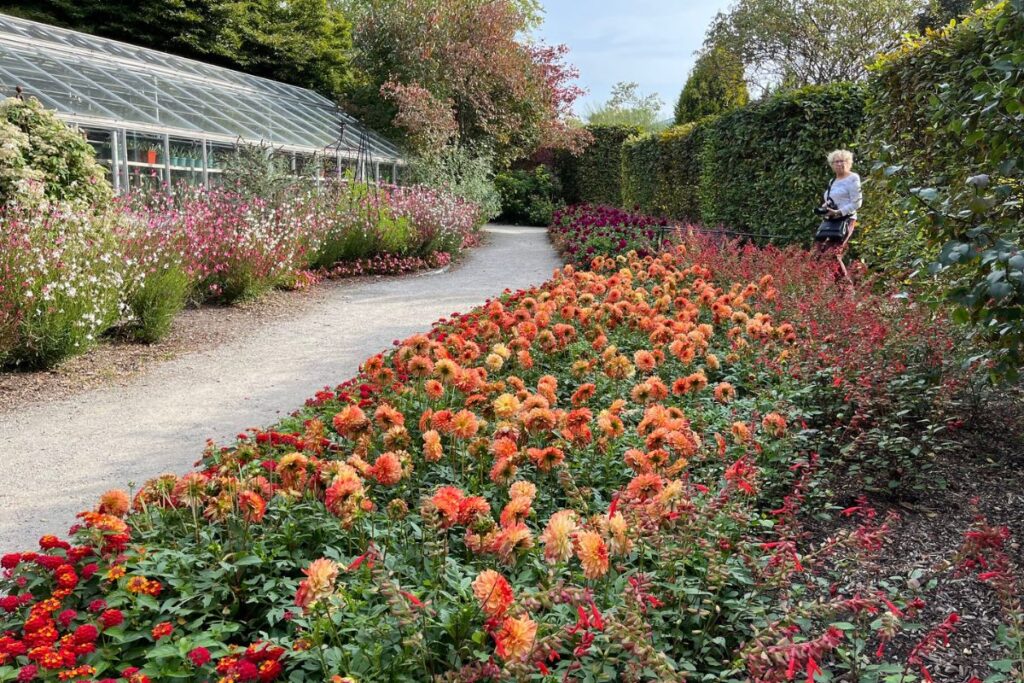 Here are 10 Toronto tourist attractions and how to visit each one