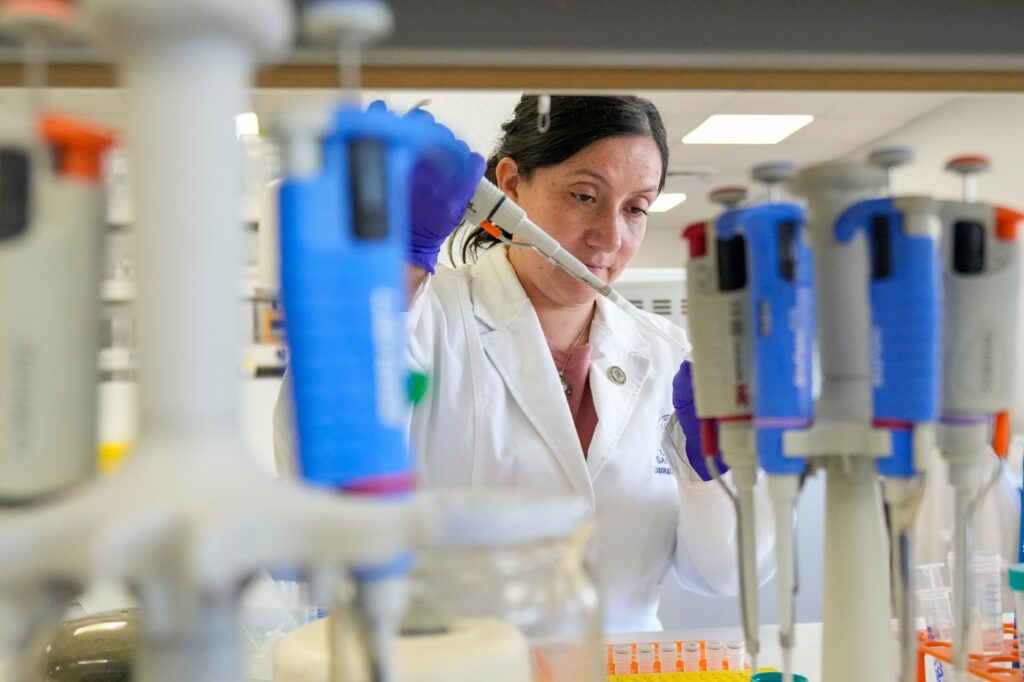 Tools to fight hantavirus show promise despite limited funding