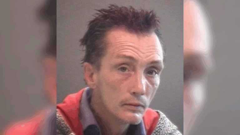 Human remains found in Barrie park identified
